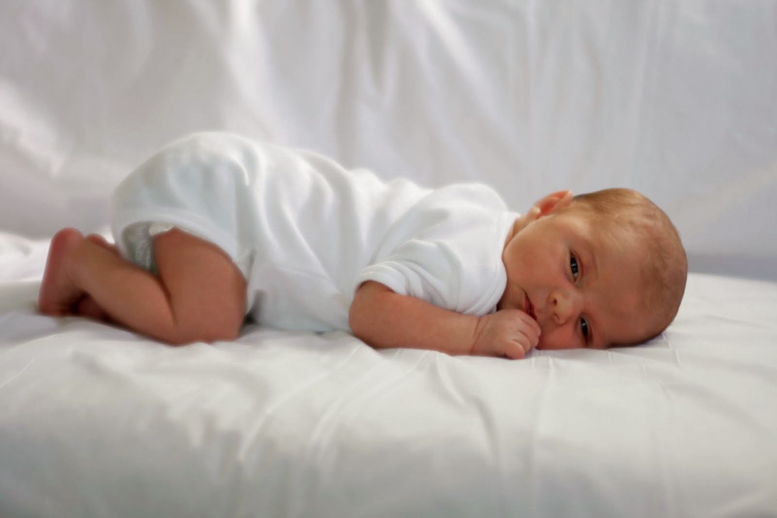 Refuge Creative: Baby Photography... Set Design