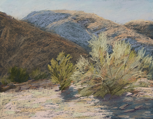 Randall Smith - Original Paintings from Nature