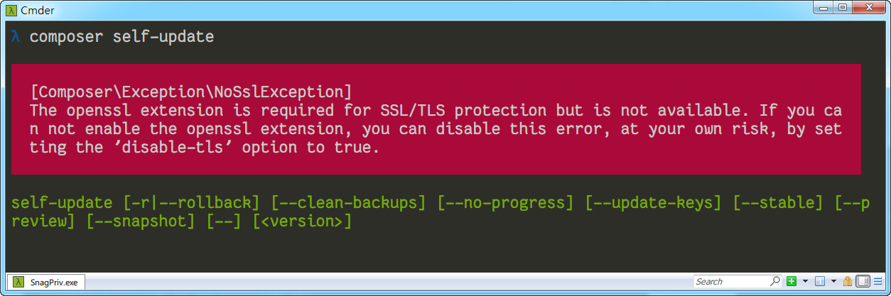 [PHP] Composer 取消 SSL/TLS 連線