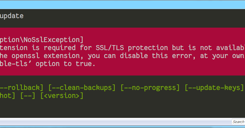 [PHP] Composer 取消 SSL/TLS 連線