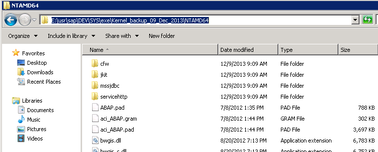 SAP Basis Professionals: SAP Kernel Upgrade