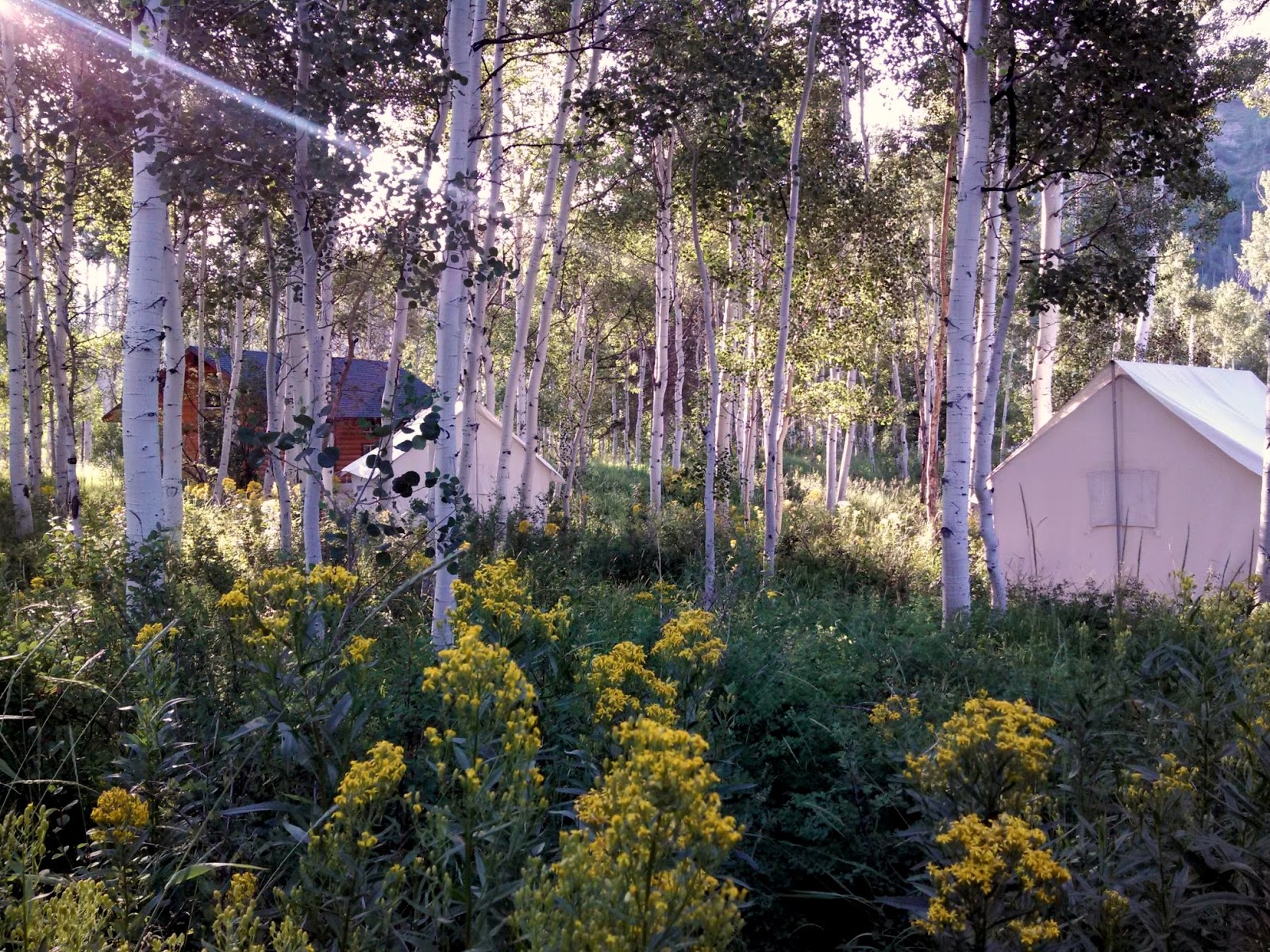 Completely Indie: Heber Valley Camping with Family and Friends