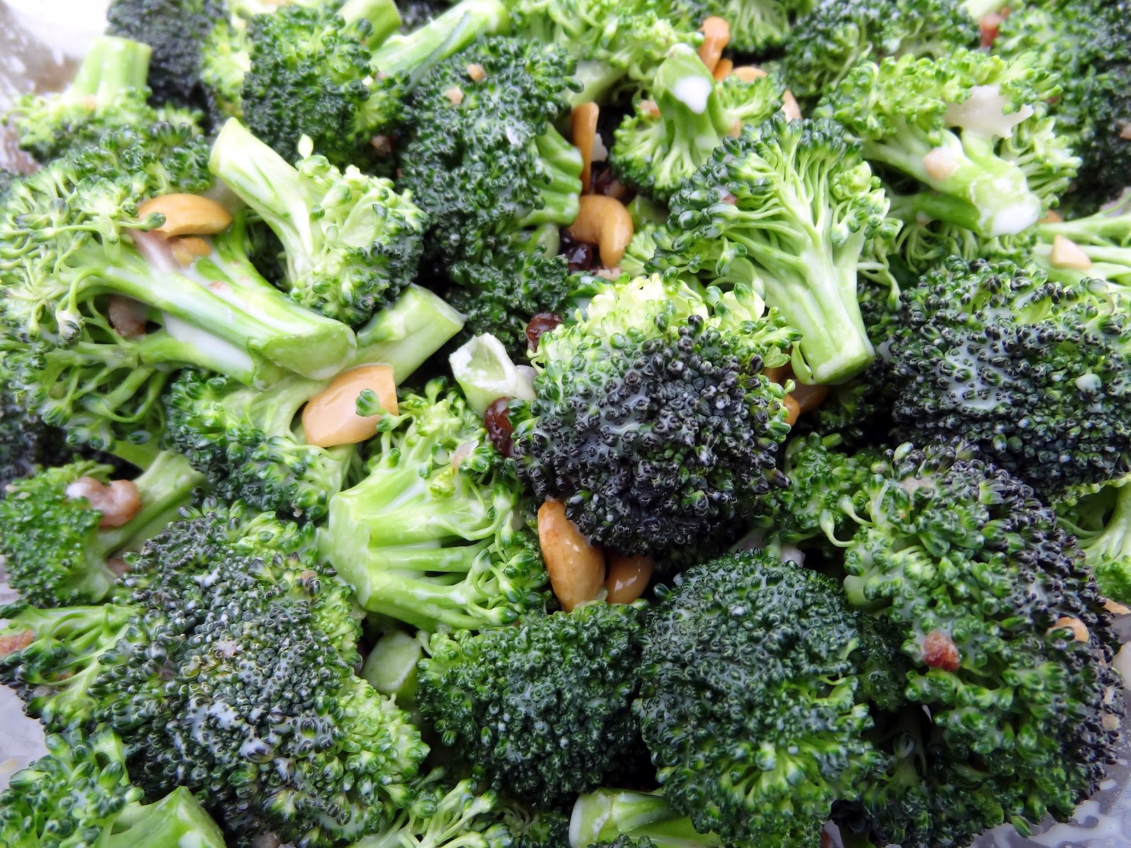 Miss Mochi's Adventures: Fourth of July: A BBQ and Festive Jello