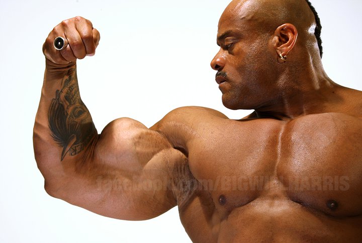 Worldwide Bodybuilders: Colossal American muscle: Will Harris