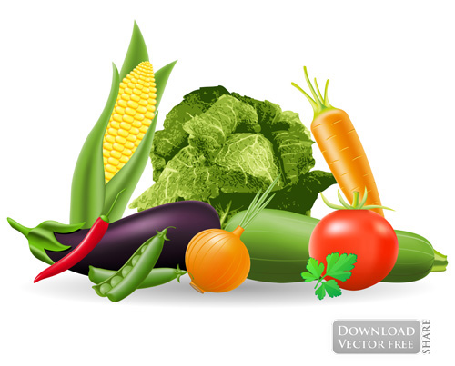 Rau củ quả sạch vegetables vector 2743 ~ MrPixelVn - Chia sẻ Đồ họa ...
