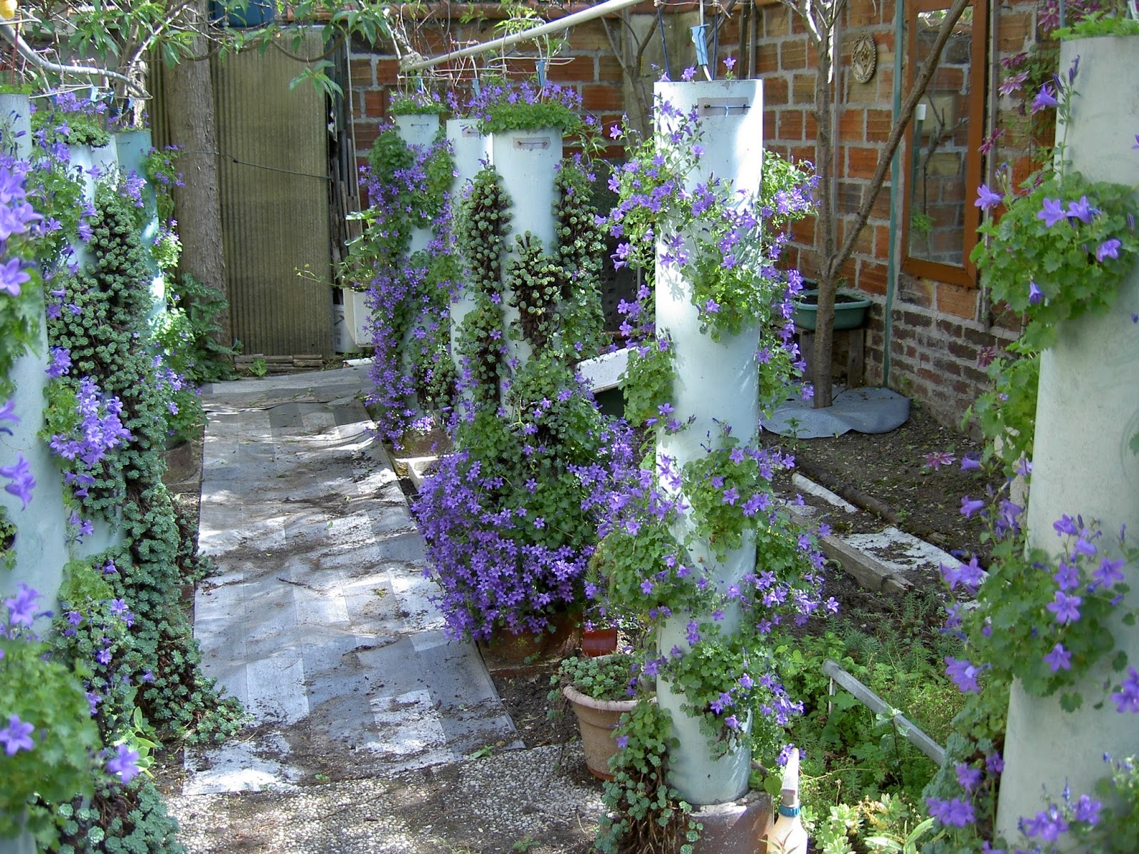 Đào Hoa: MOBILE VERTICAL PVC PIPE FLOWER GARDENS