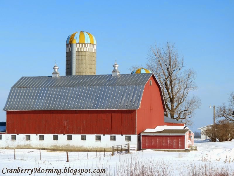 Cranberry Morning: Wisconsin Barns and Good Fences