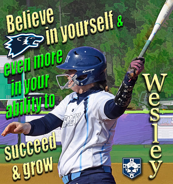 Wesley Wolverines Fastpitch Softball: SUCCEED & GROW