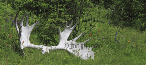 Jana Malinek Photography: March 2013