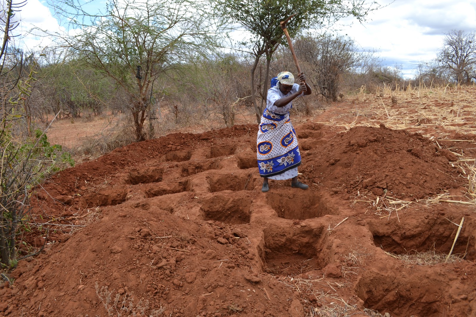 The Horizons: Moving Towards Food Security in Dry Land Areas