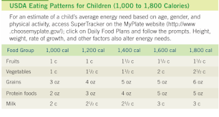 Complete Nutritional Overview: Nutritional Requirements Across The Lifespan