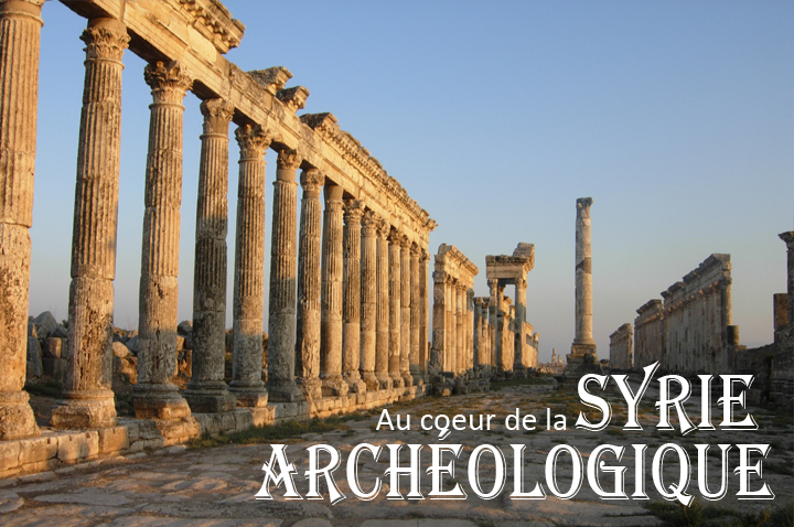 Tangara Syrie 2011: Syrie 2011