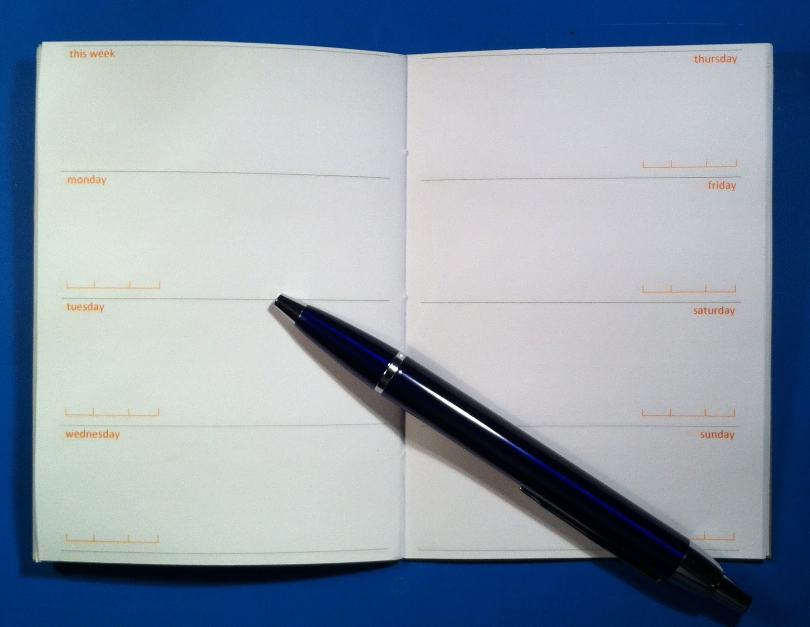 My Life All in One Place: Undated diary for the Traveler's Notebook in ...