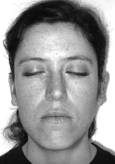 Nonverbal World - The World Without Words: Reading Body Language ...