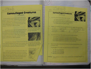 Science Notebooking: Animal Adaptations - Adrienne Teaches