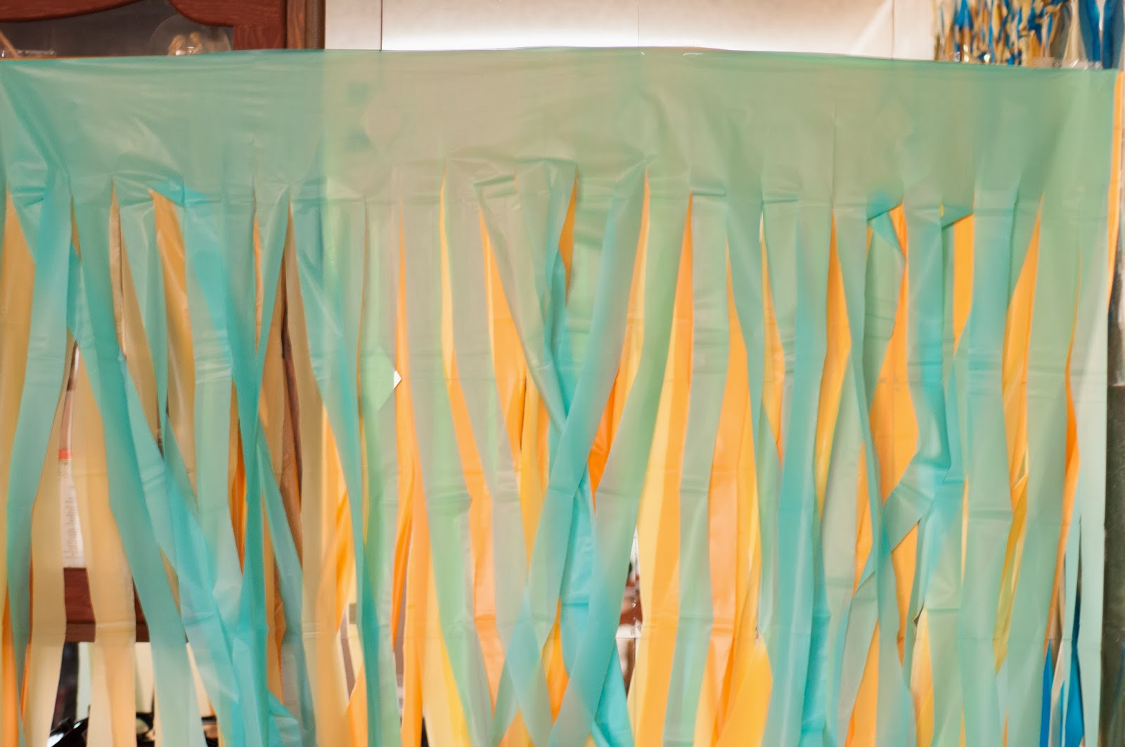 Tia Stout Photography: DIY photo backdrop for $3