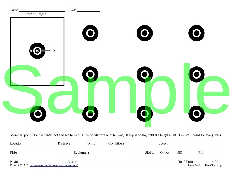 Precision Target Shooters: Target Data