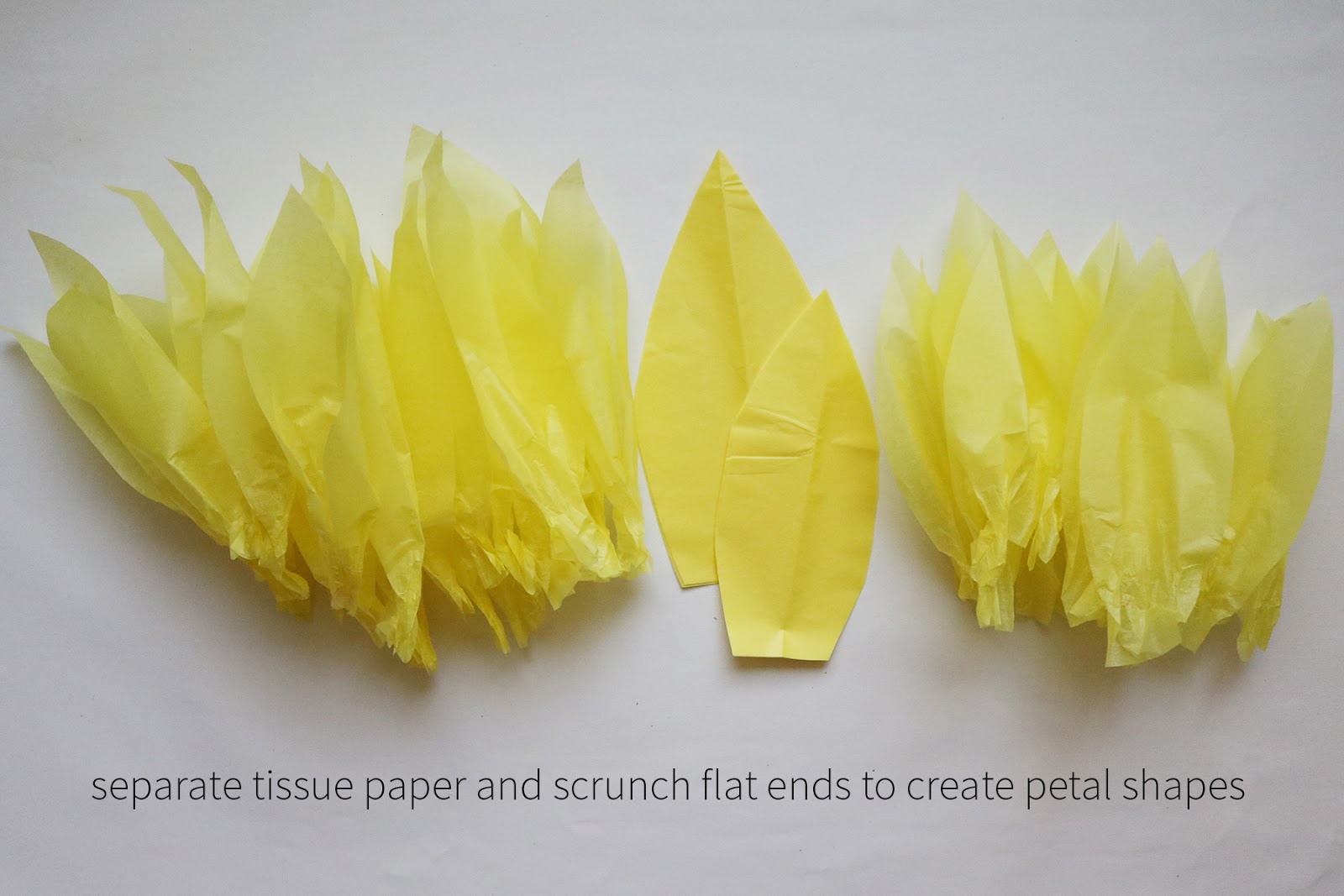 the creative bag blog: Let's Celebrate with DIY Giant Tissue Paper Flowers