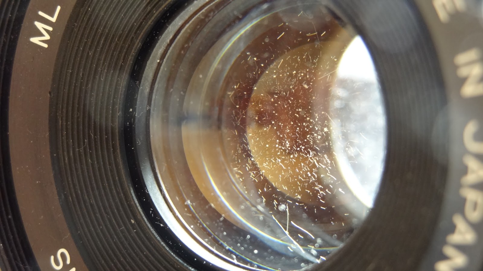 BEWARE of Vintage Lens Fungus