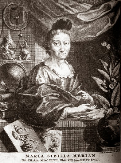 HISTORIAS ZOOLOGICAS: EL LAGARTO OVERO (Salvator merianae): MARIA Y EL ...