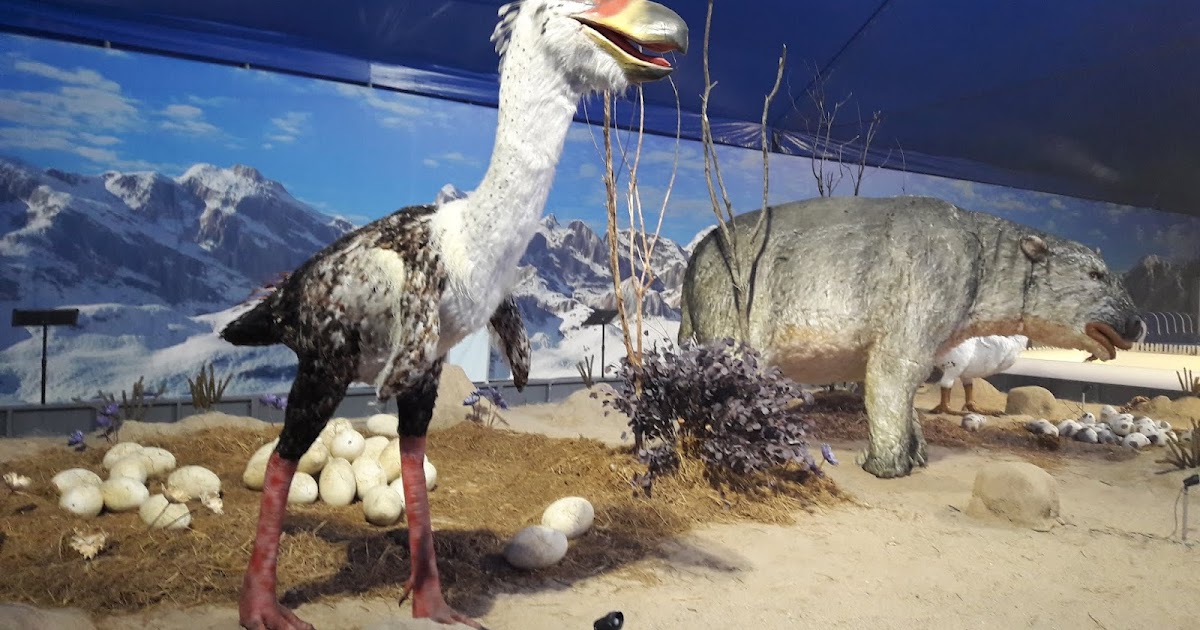 My Blogs: Ice Age Alive Kuala Lumpur