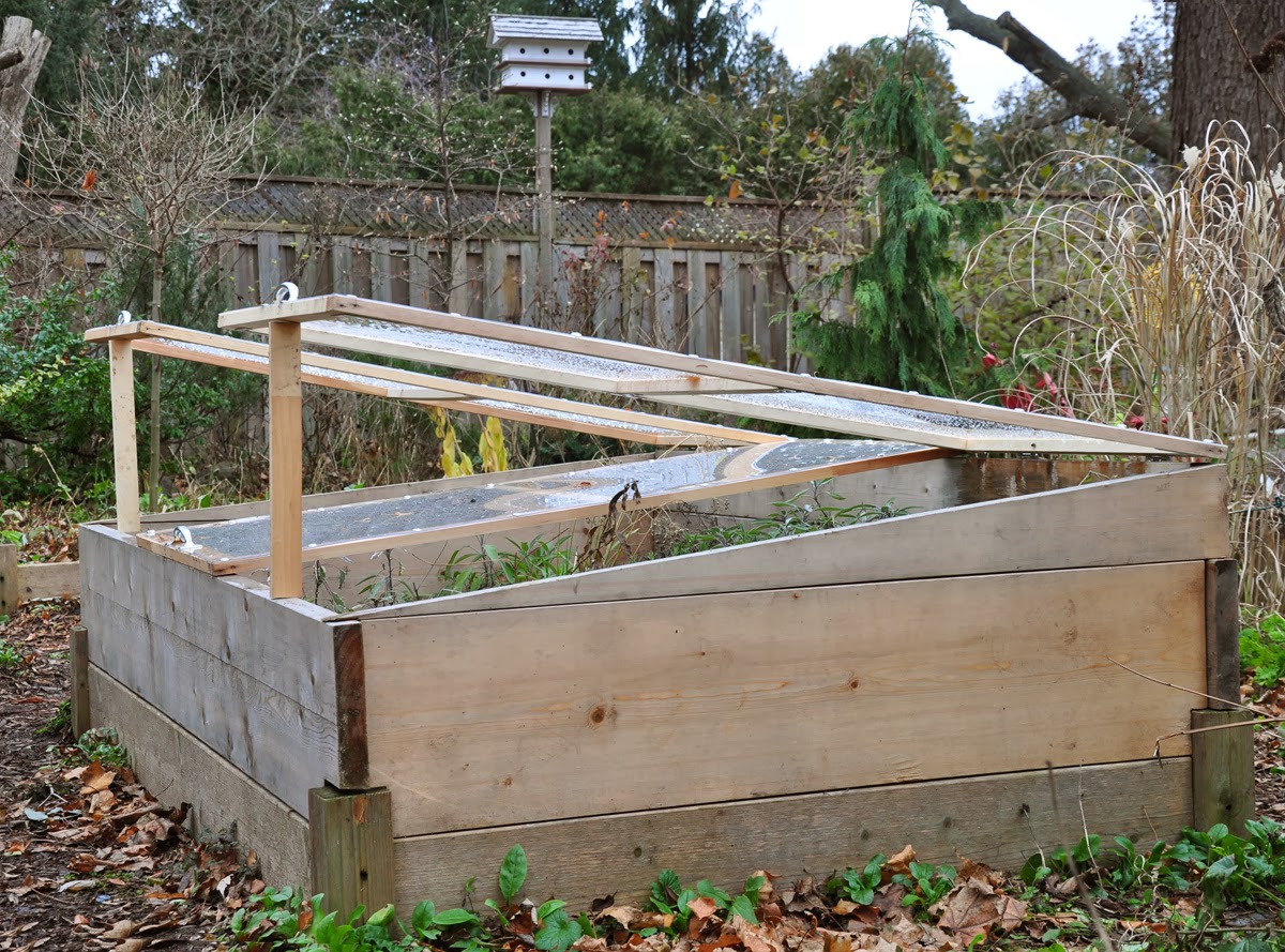Three Dogs in a Garden: Building a Cold Frame