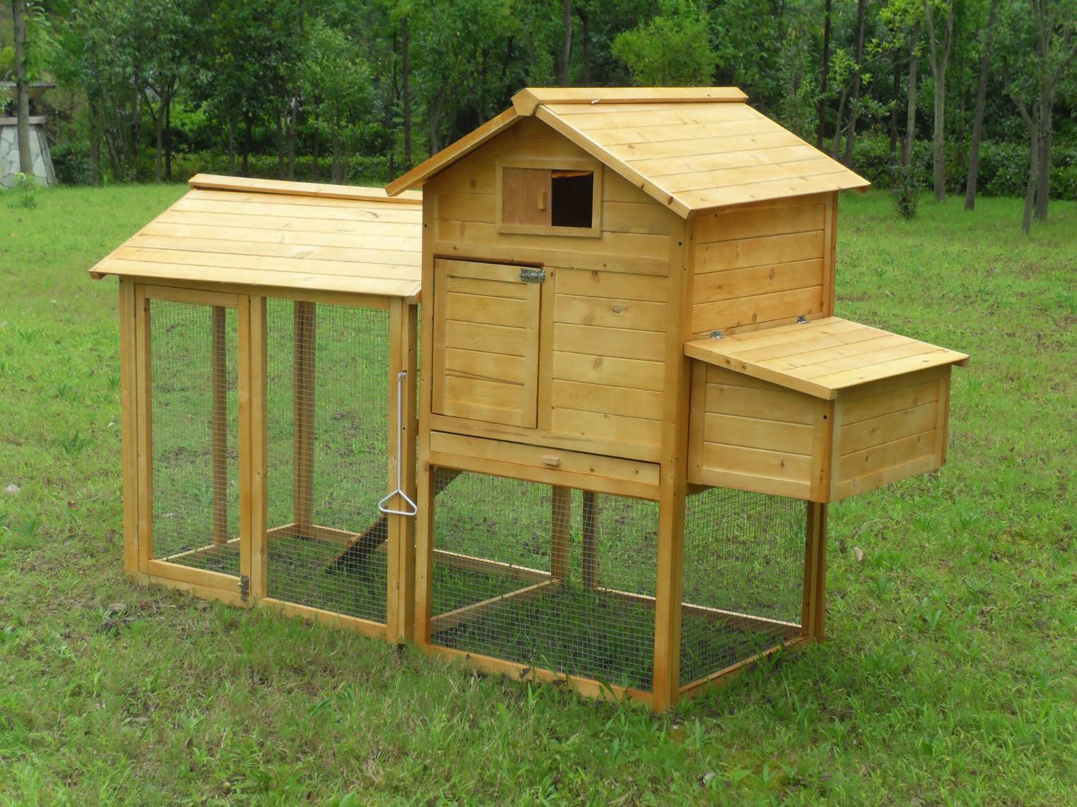 Everything About Rabbits: Is my house/garden suitable for rabbits?