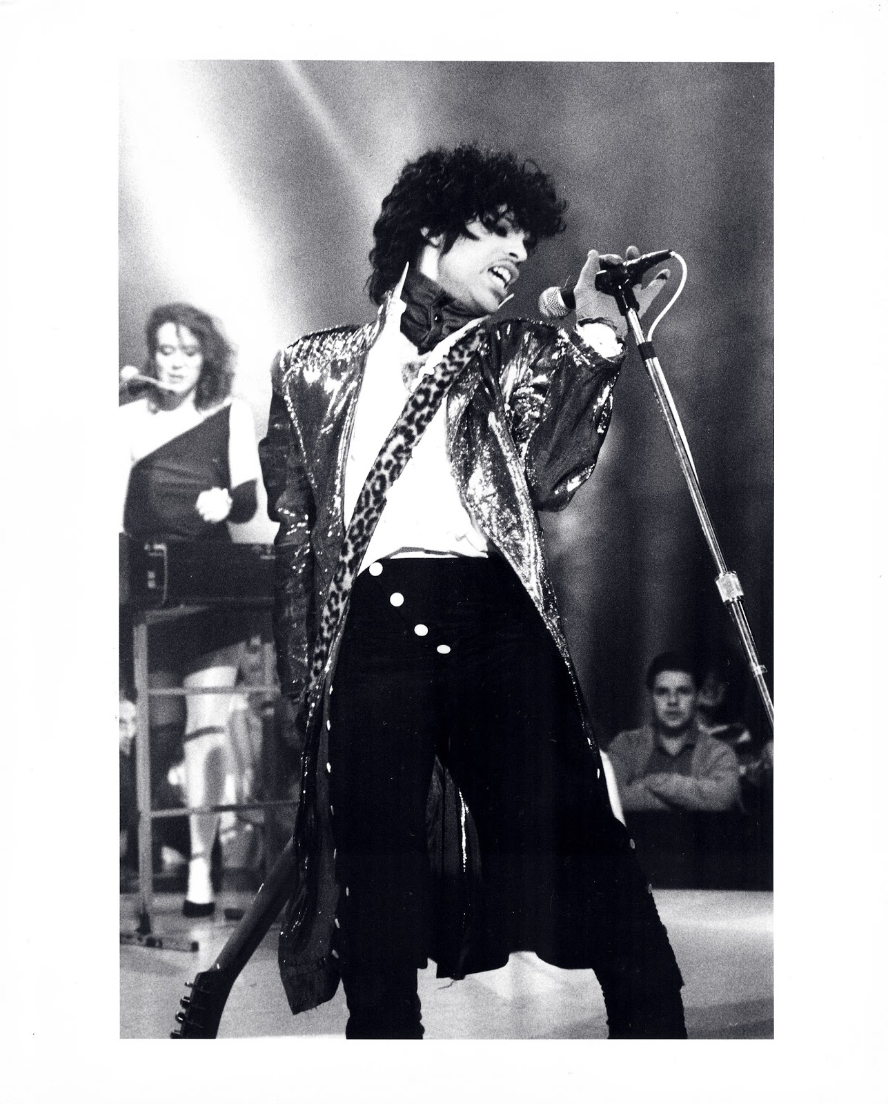 Lansure's Music Paraphernalia: PRINCE | Related Artists