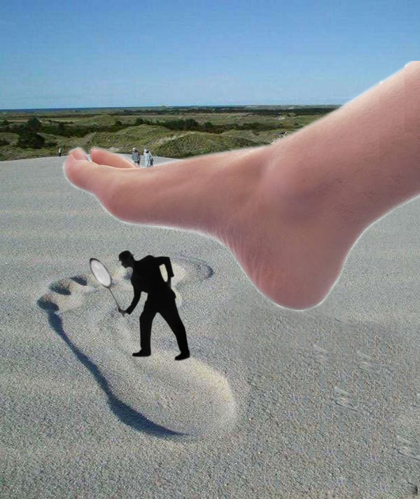 Tomatoes and Potatoes