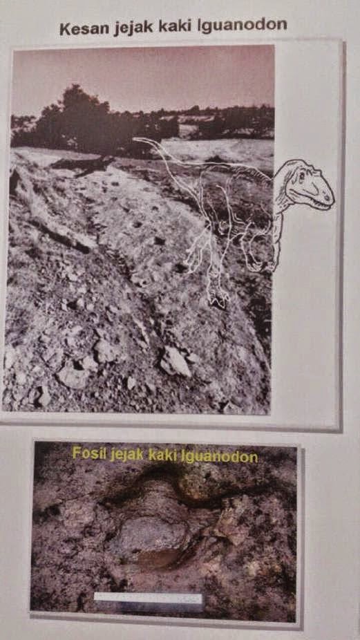 Penemuan Fosil Dinosaur Iguanodintid dan Sauropod Di Hulu Terengganu ...