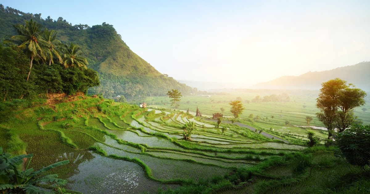 Paling Bagus 29+ Wallpaper Alam Pedesaan Indonesia - Joen Wallpaper