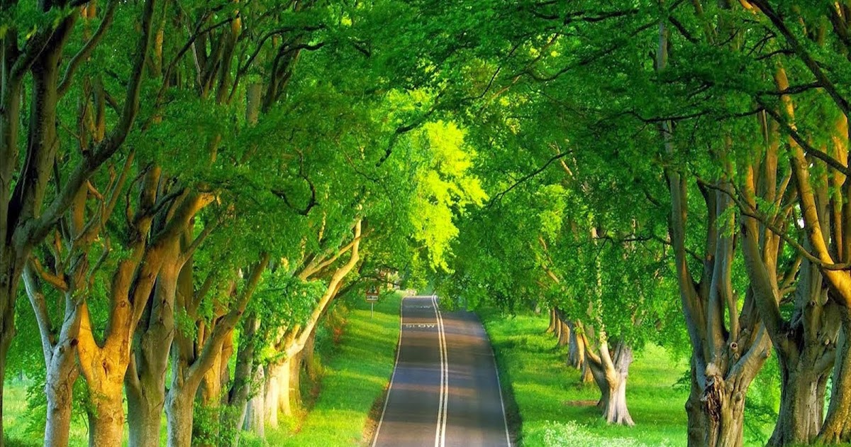 Indian Tourism : India's 10 Beautiful Natural Place