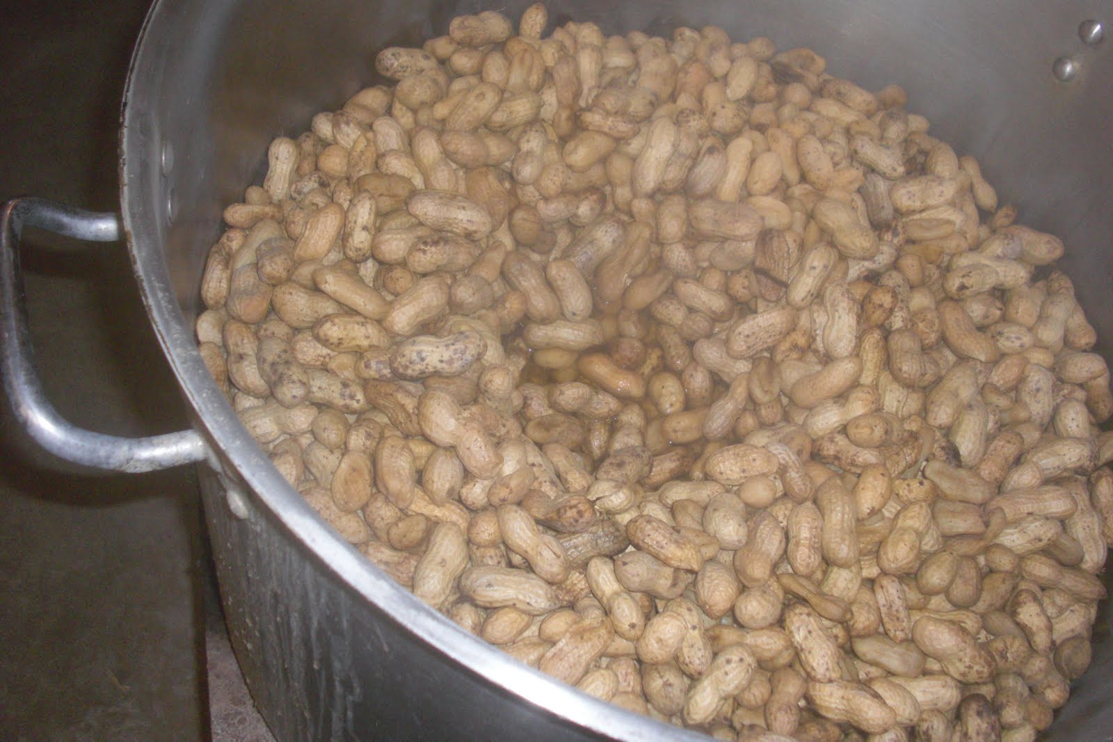 Lowcountry outdoors: Benton's Peanut Farm boils them right