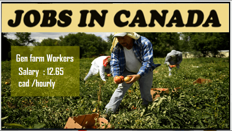 Gen farm Workers Vacancies in Canada
