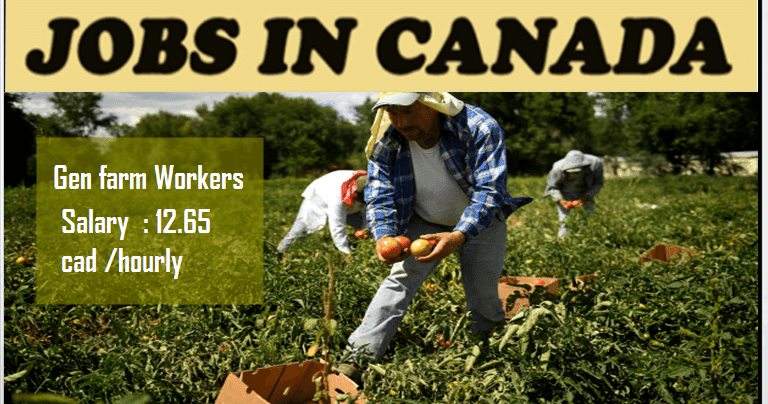 Gen farm Workers Vacancies in Canada - Worldswin: jobs apply ...