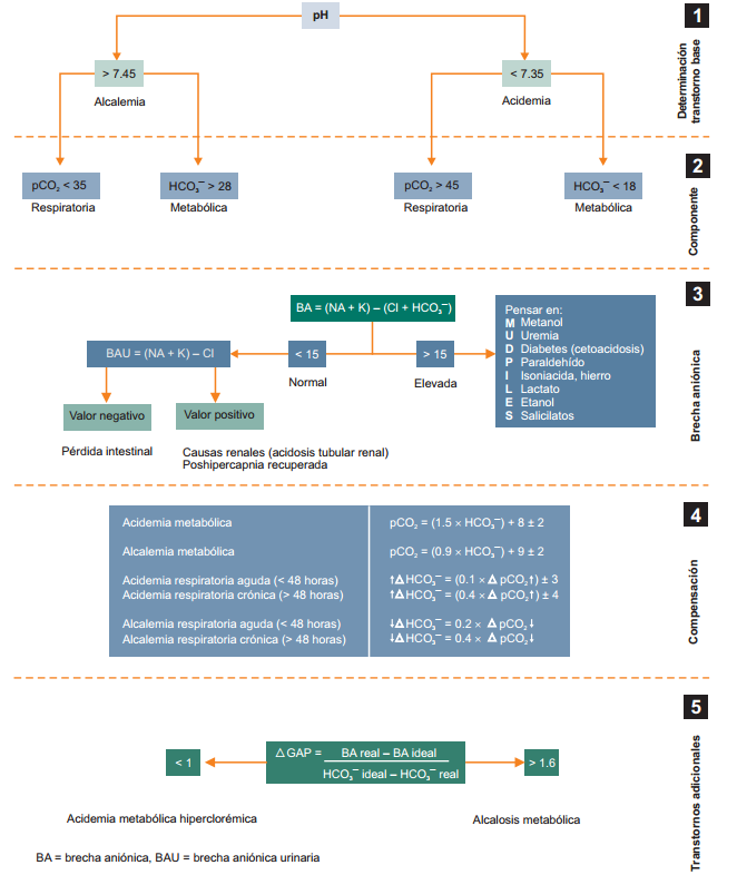 Interpretación Gasometría durante la guardia + EJEMPLO & VIDEO ...