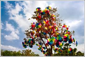 Eyesight of Bangladesh: Spring in Bangladesh