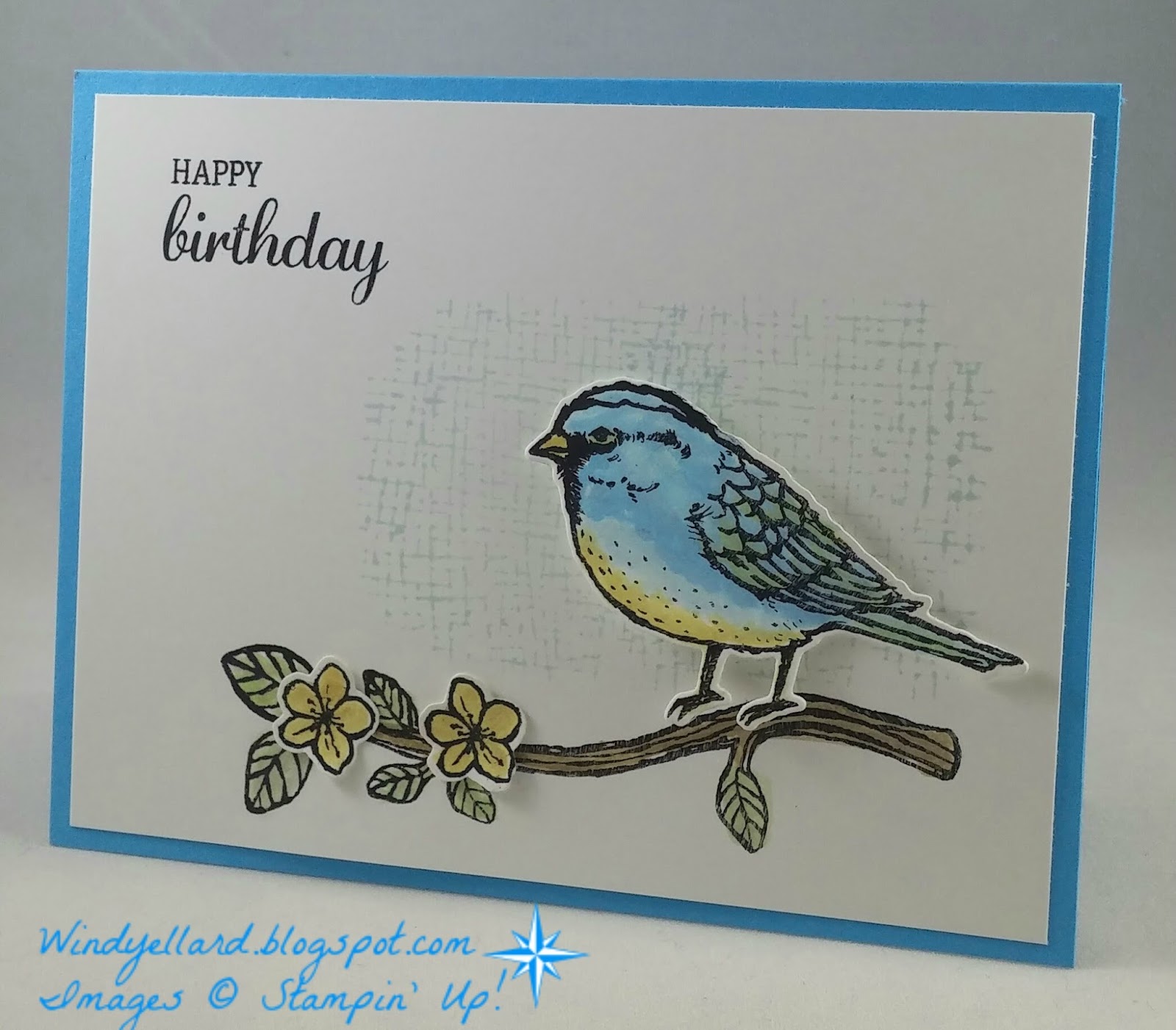 Windy's Wonderful Creations: Happy Birthday Sweet Blue Bird!
