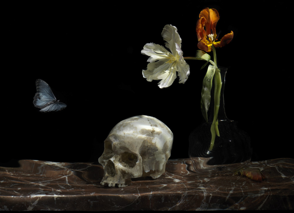 Fusion Of Effects: [Un]Discovers: Alexander James