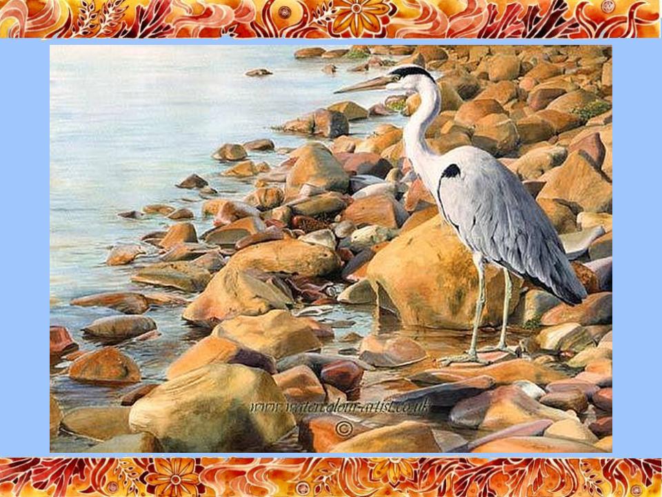 Soloillustratori: Tracy Hall