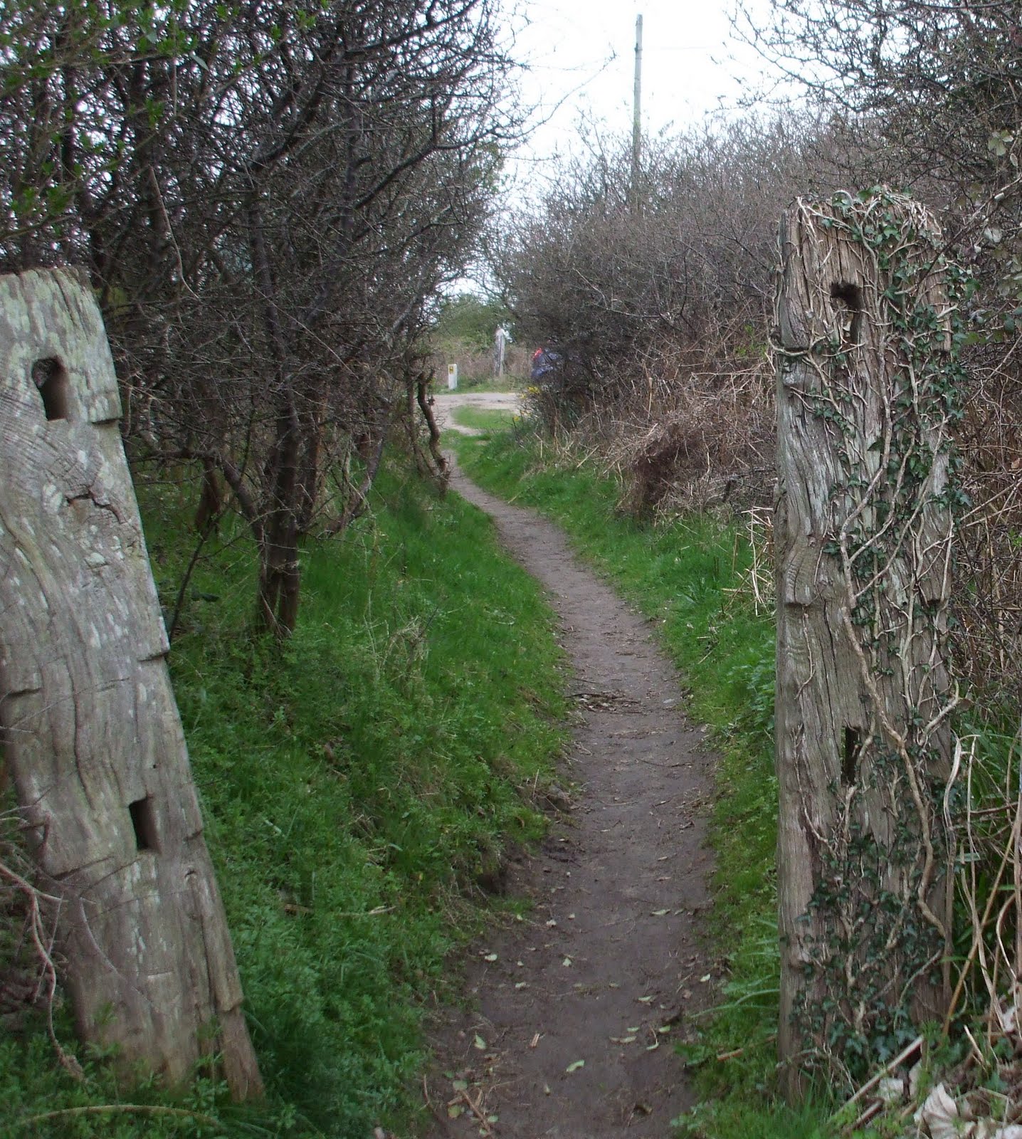 Sandy Lane, Pennard, Gower. Thoughts From My Heart: THE GATES OF SANDY ...