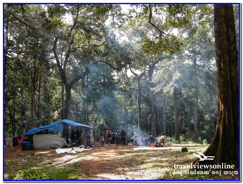 പ്രകൃതിയിലേക്ക് ഒരു യാത്ര (a travel towards NATURE): PULLUMEDU a unique ...