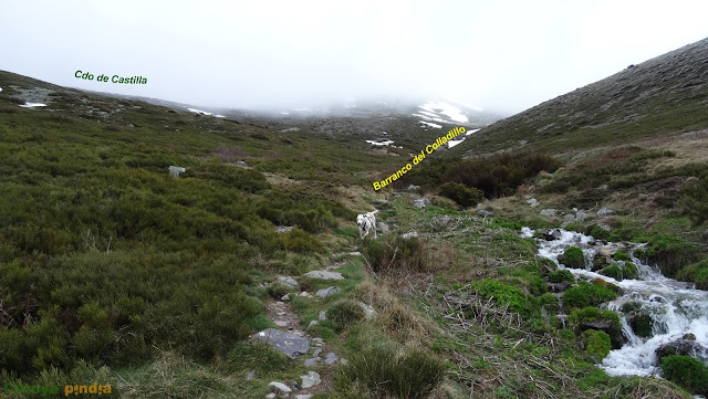Pico San Miguel o Moncayo