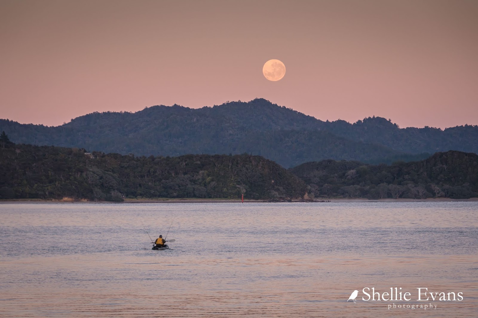 Two Go Tiki Touring: Perfect Puriri Bay- Part 1