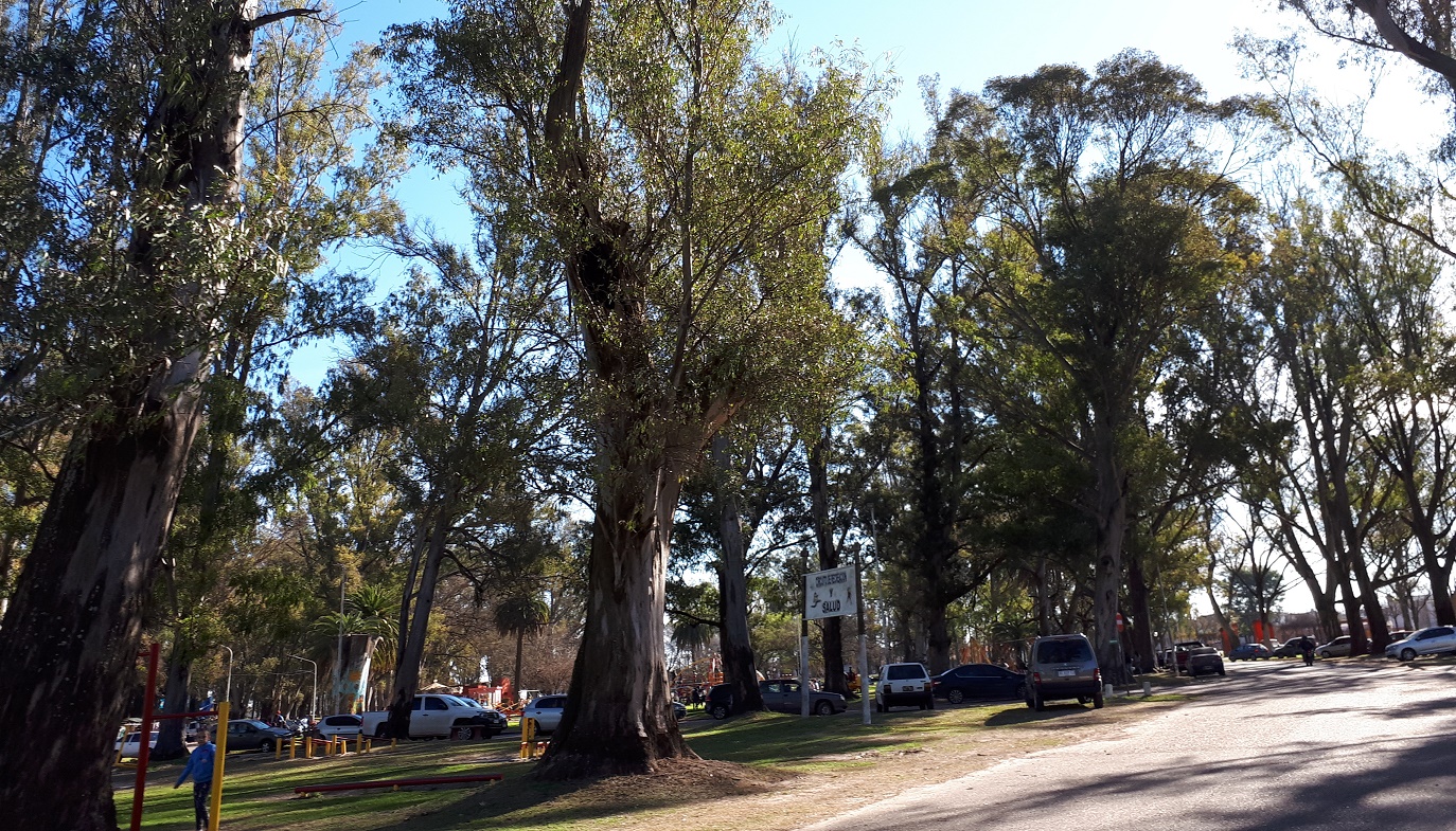 Gualeguay Entre Ríos: PLAZA SAN MARTÍN😃, LA CONSTITUCIÓN😙 EL PARQUE Y ...