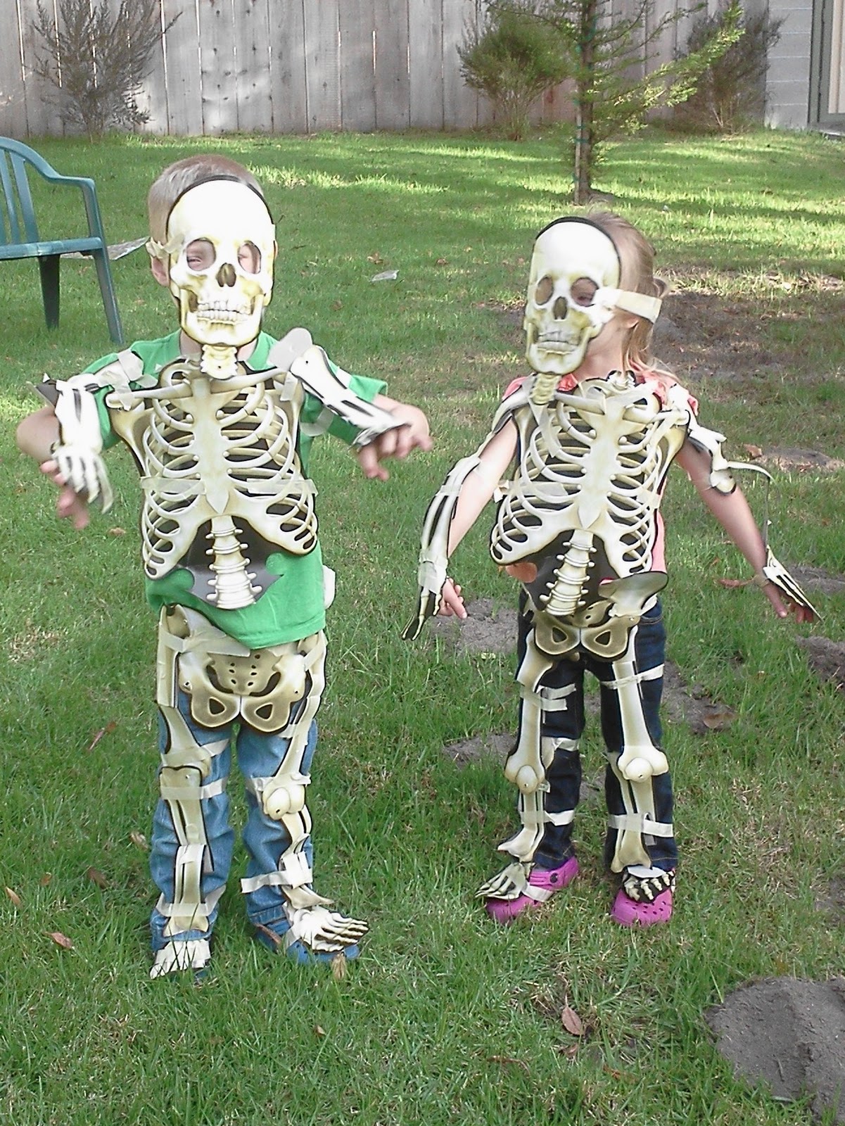 The Preschool Scientist: Boning up on Our Skeleton