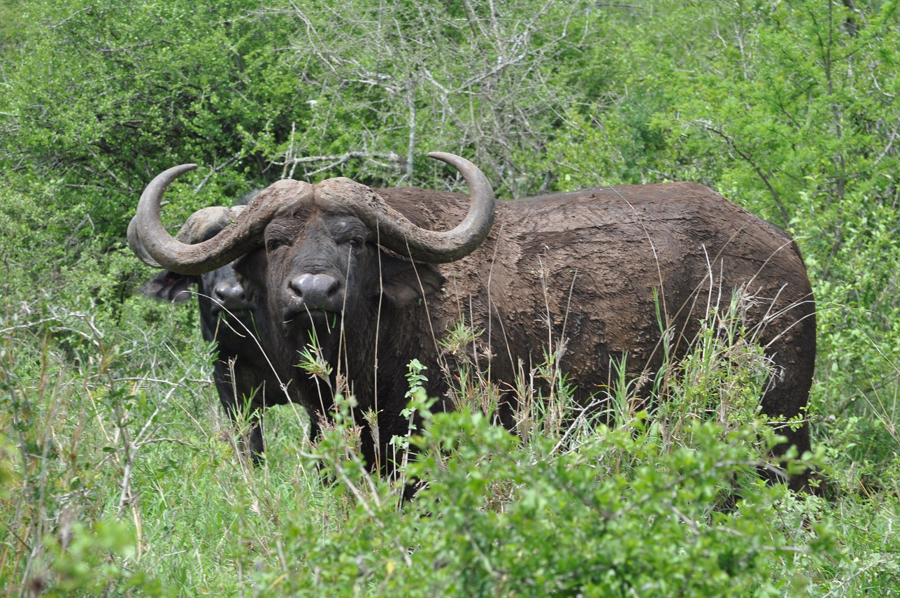 Sail 7Cs: Our first taste of South Africa