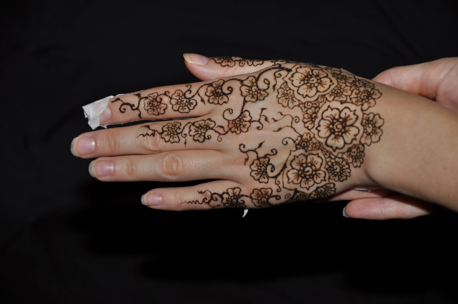 Ancient Arts Henna