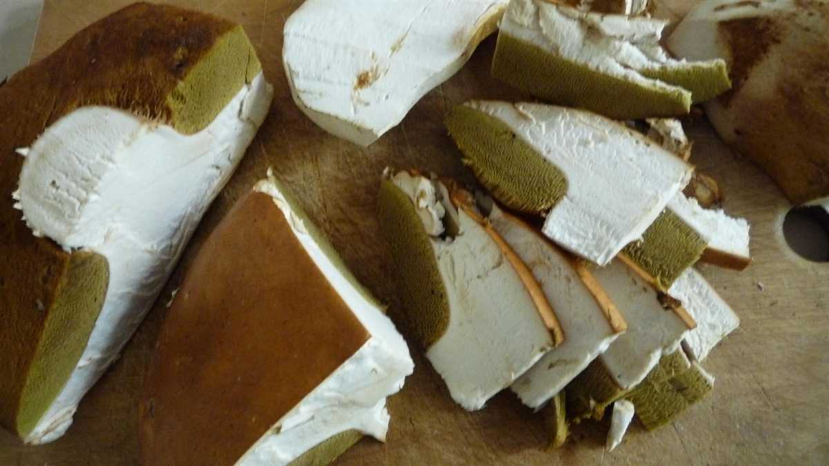 r o b i n 's y a r d: Boletus (I)