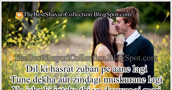 The Best Shayari Collection